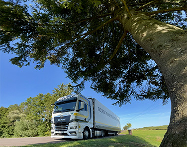 Georgi Group -LEADING AIRCAGO LOGISTICS.